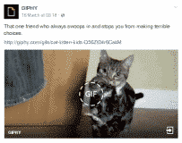 How Giphy Works and Makes Money? Everything you should know. – Feedough