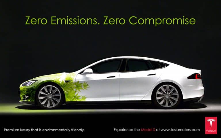 Environmental Sustainability In Business | Feedough