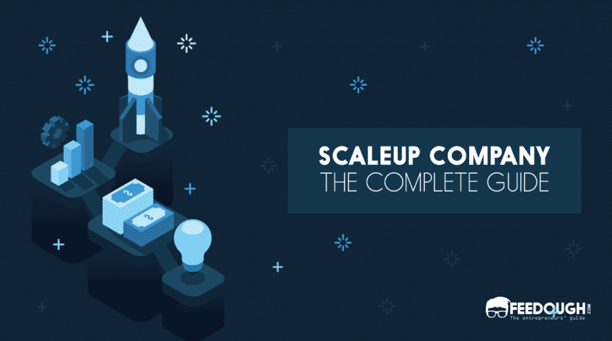 What Is Scaleup Company? | Feedough