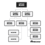What Is Brand Hierarchy? How To Develop One? – Feedough
