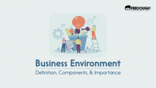 Business Environment – Definition, Components, & Features | Feedough
