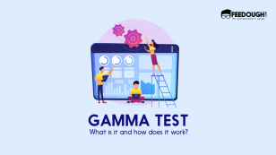 What is Gamma Testing? – A Detailed Guide | Feedough