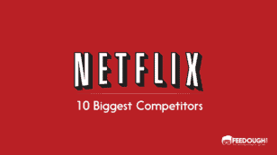 The 10 Biggest Netflix Competitors | Feedough
