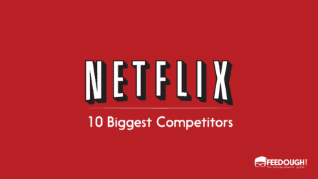 The 10 Biggest Netflix Competitors | Feedough