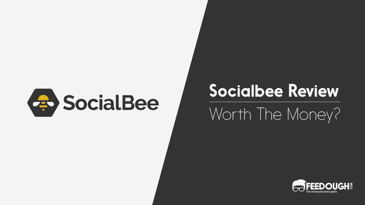 SocialBee Review [2025]: Worth The Money? – Feedough