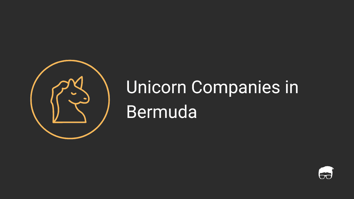 Unicorn Companies in Bermuda in 2025 – Feedough